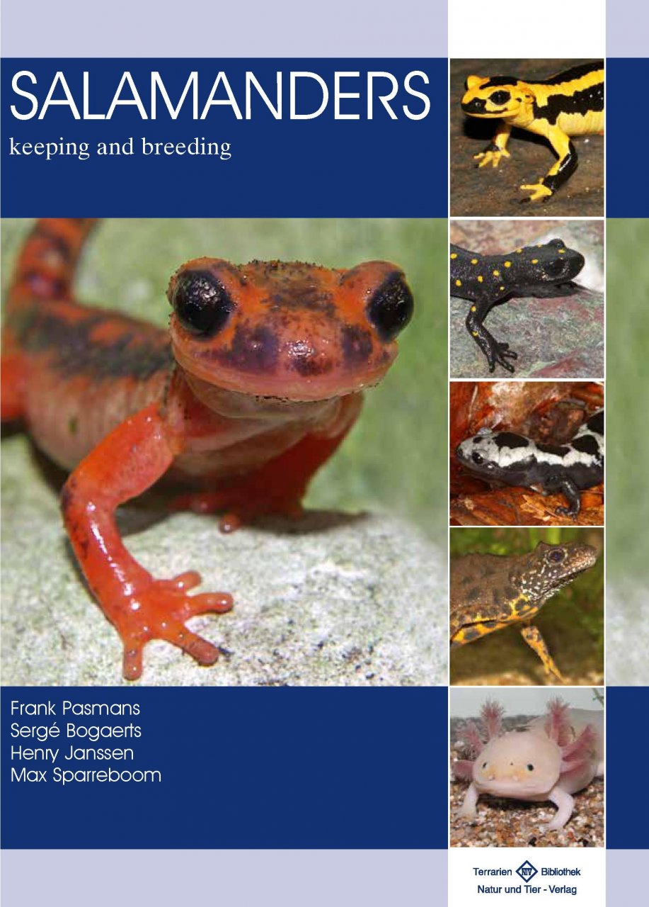 Salamanders: Keeping and Breeding - Salamanderland