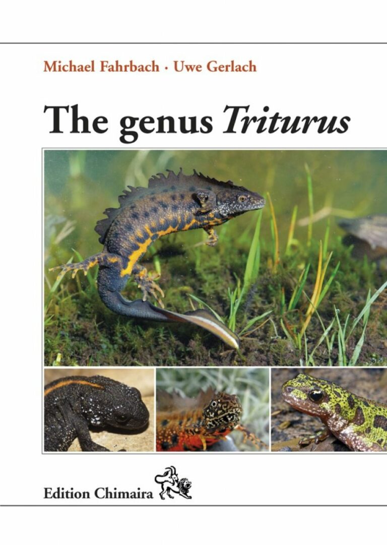 The Genus Triturus - Salamanderland